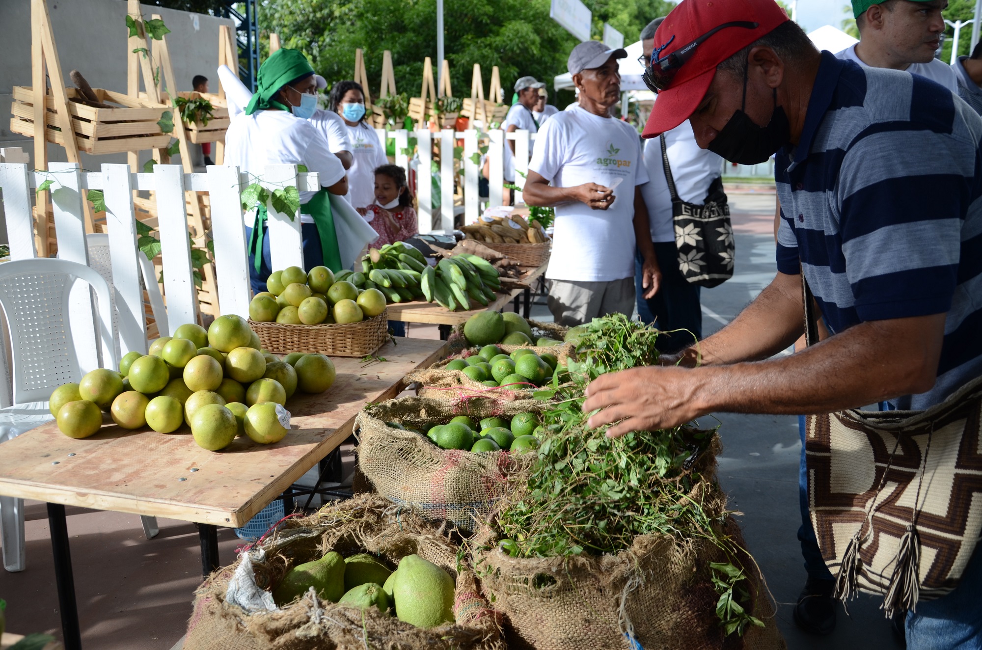 Campesinos de Santa Ana asisten por primera vez a feria agrícola ...